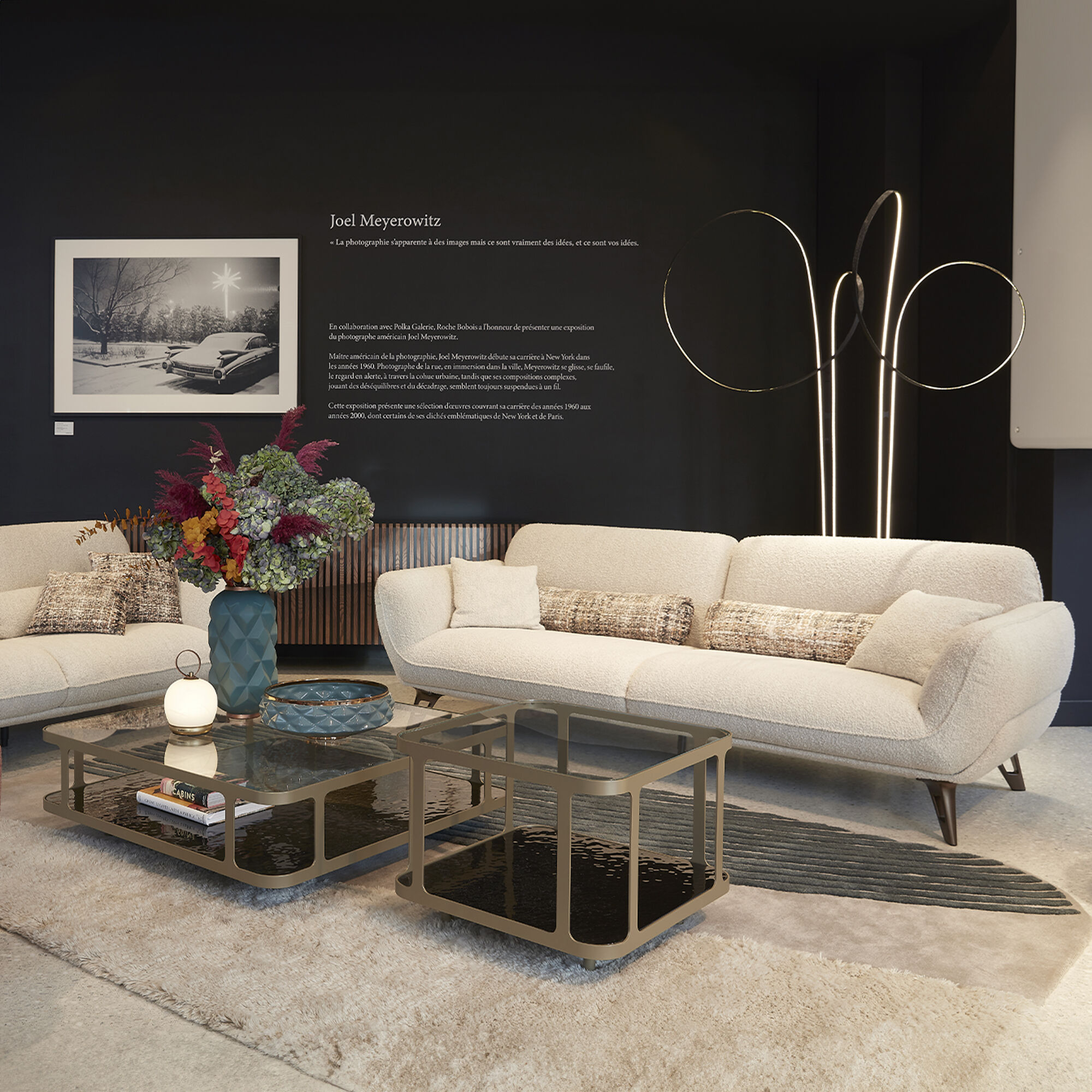 Joel Meyerowitz Exhibition, Paris